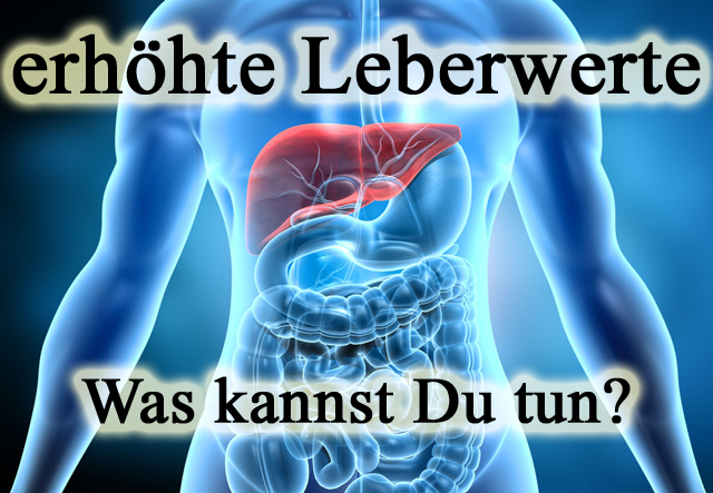 Leberwerte Hoch ️ Was Kannst Du Tun? ️ Wie Senken?